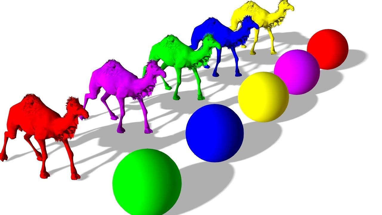 LEARN COLORS WITH ZOO ANIMAL FOR KIDS-Colours for Kids to Learn ...