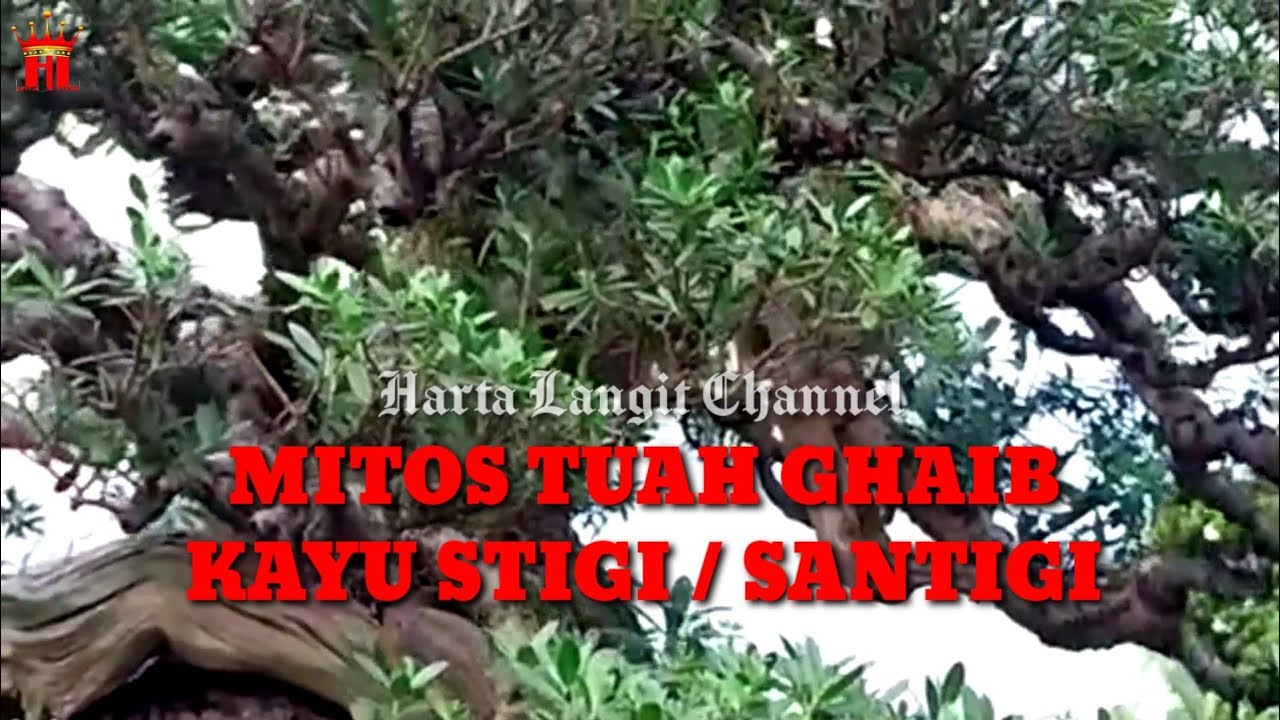 Mitos Tuah Ghaib Kayu Stigi - YouTube