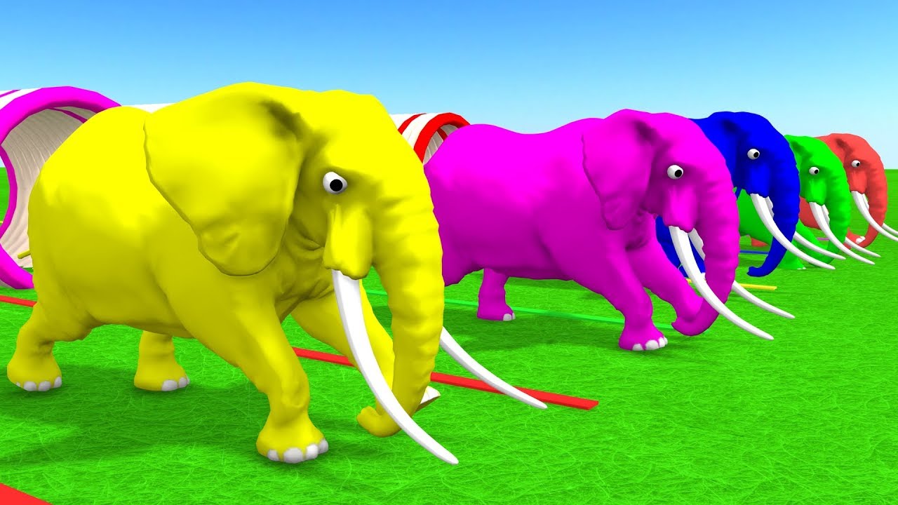 Learn Colors Learn Animals for Children Finger Family | Colour Elephant ...
