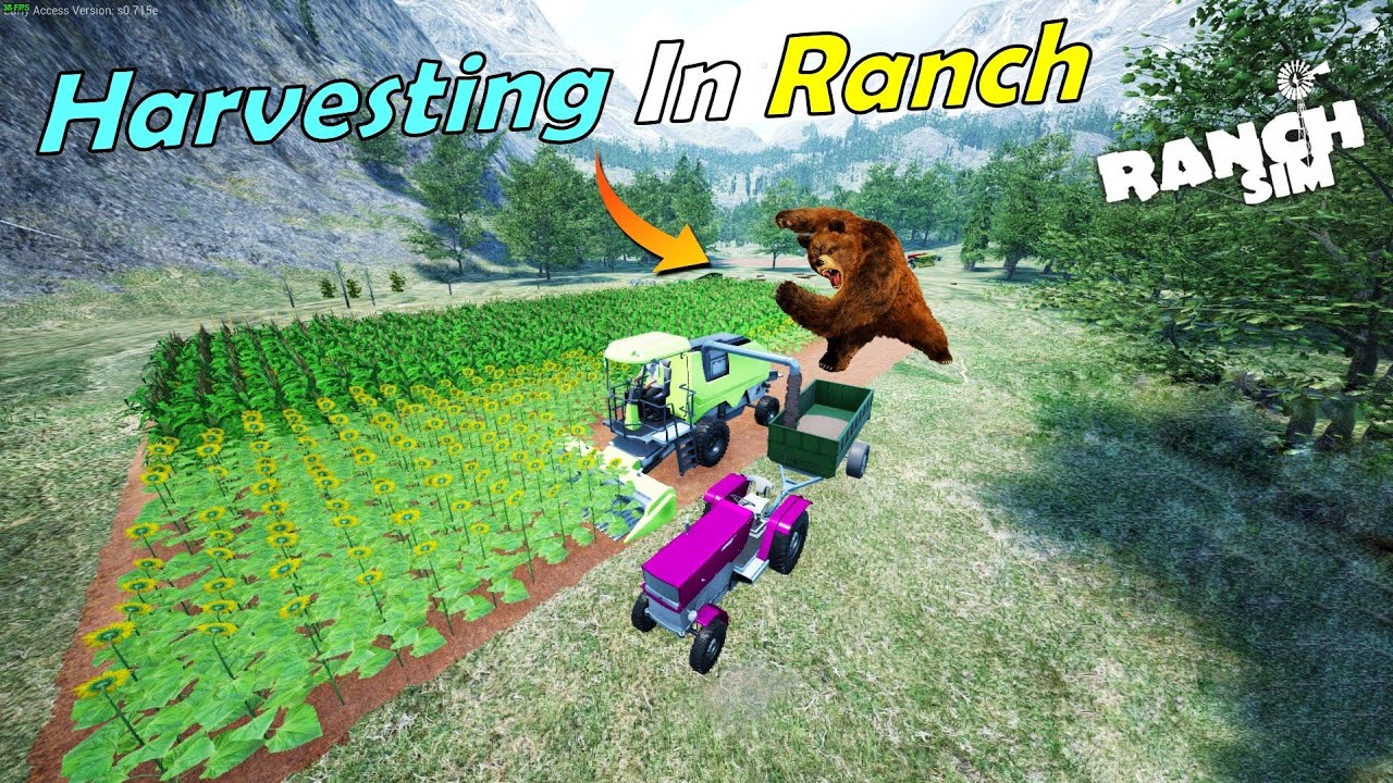 Harvesting Sunflowers,Corn And Wheat In Ranch Simulator. #36 In Hindi ...