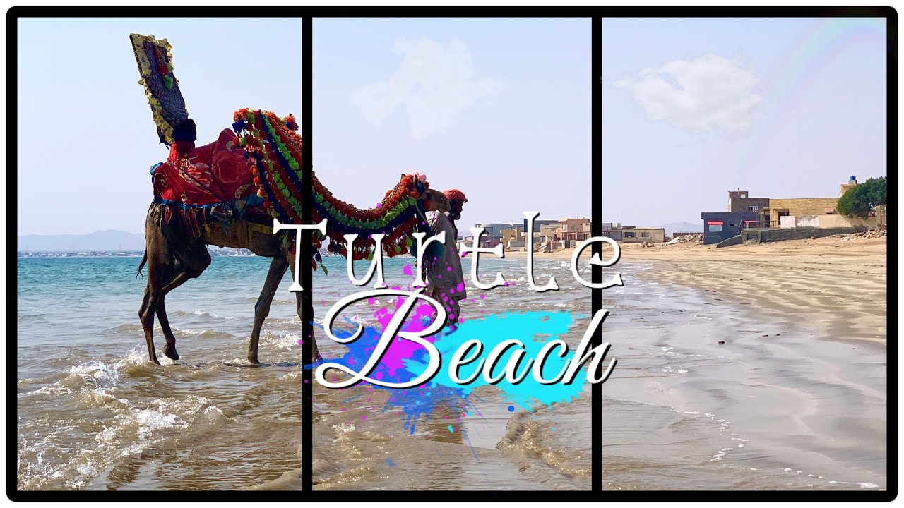 Family trip to beach||Turtle beach||Karachi - YouTube