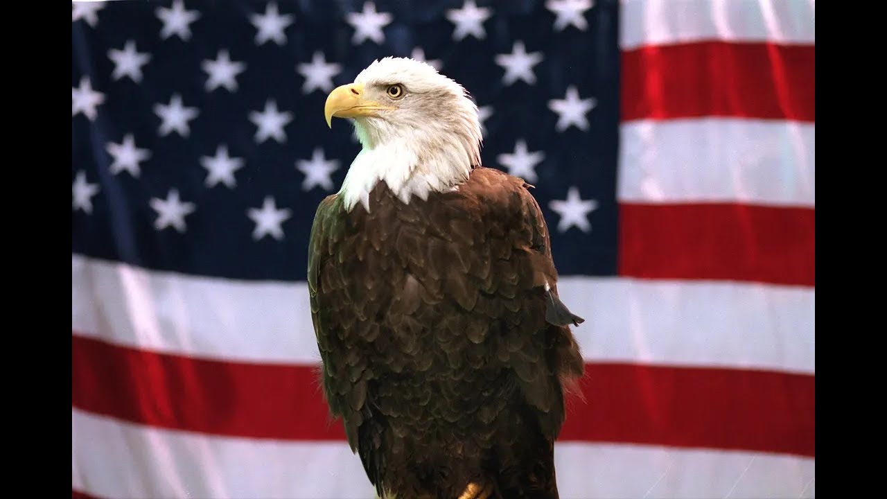 the usa militia experience - I merc for Rhode Island Militia (Roblox ...