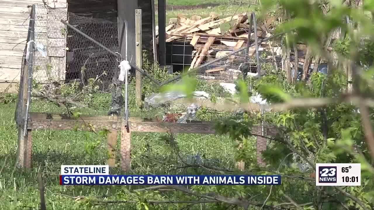 Four animals killed in a collapsed barn in Harvard among impact of ...