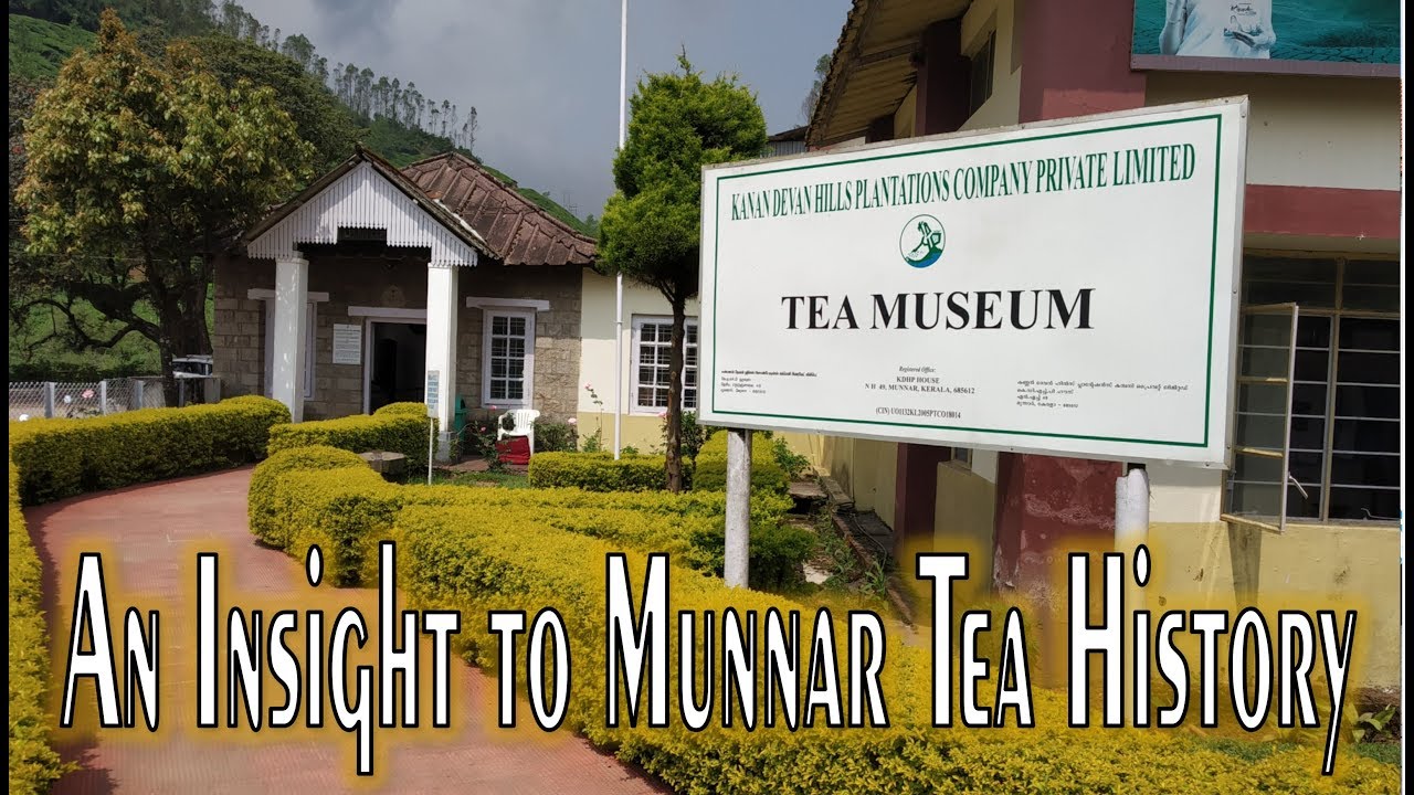 Tea Museum