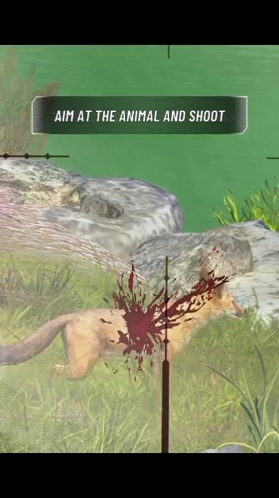 aim animal and shoot - YouTube