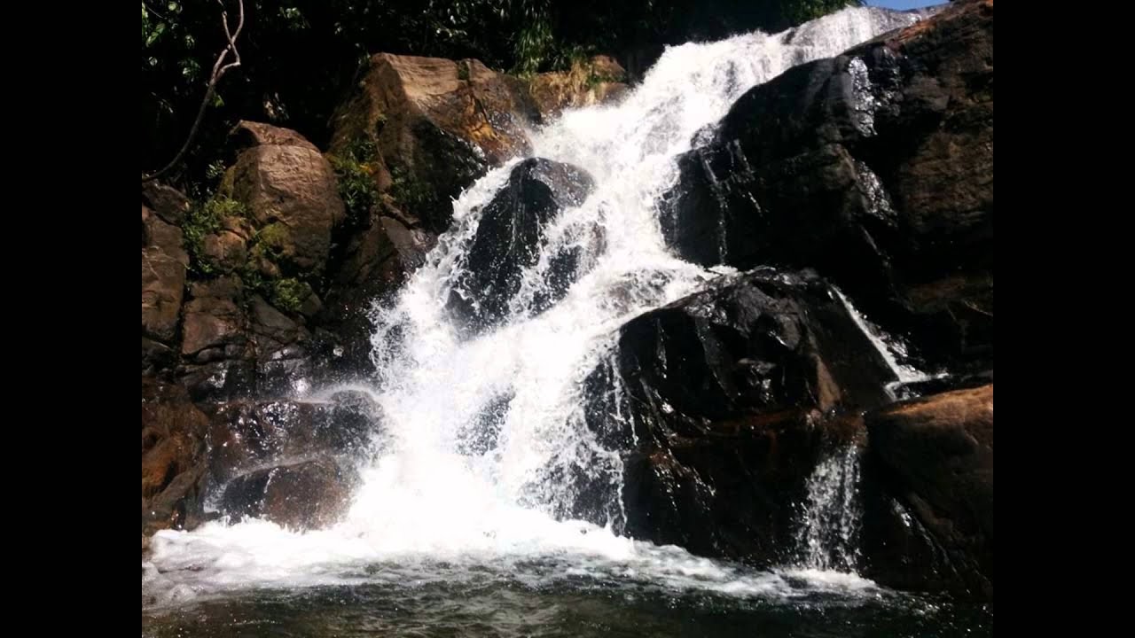 Duli Ella - Neluwa, Sinharaja - YouTube