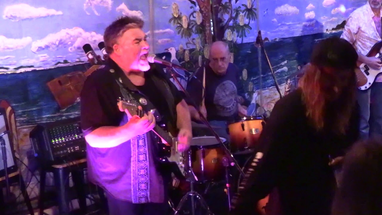 SWAMP CATS PROMO 4k 2m48s - YouTube