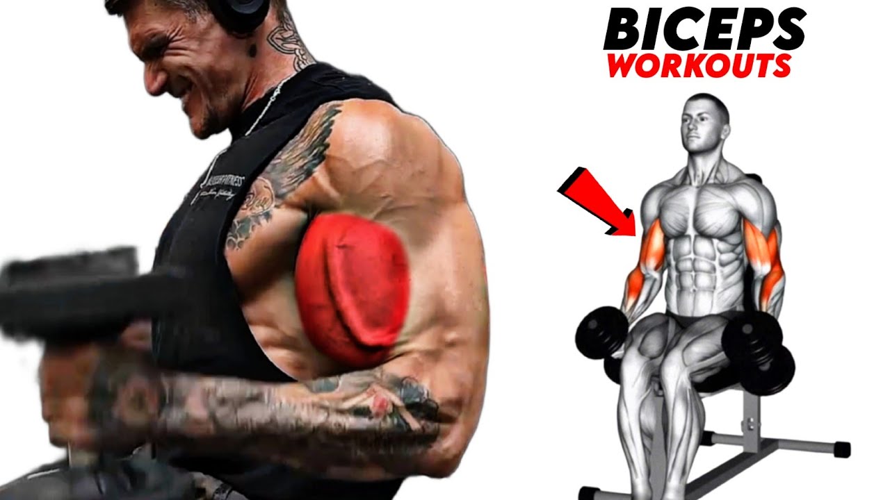 7 Elite Biceps Exercises for Maximum Size & Peak Definition 💪 ...