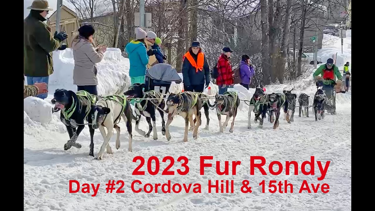 Day 2 Cordova Coverage - 2023 Fur Rondy Alaska Sled Dog Race ...