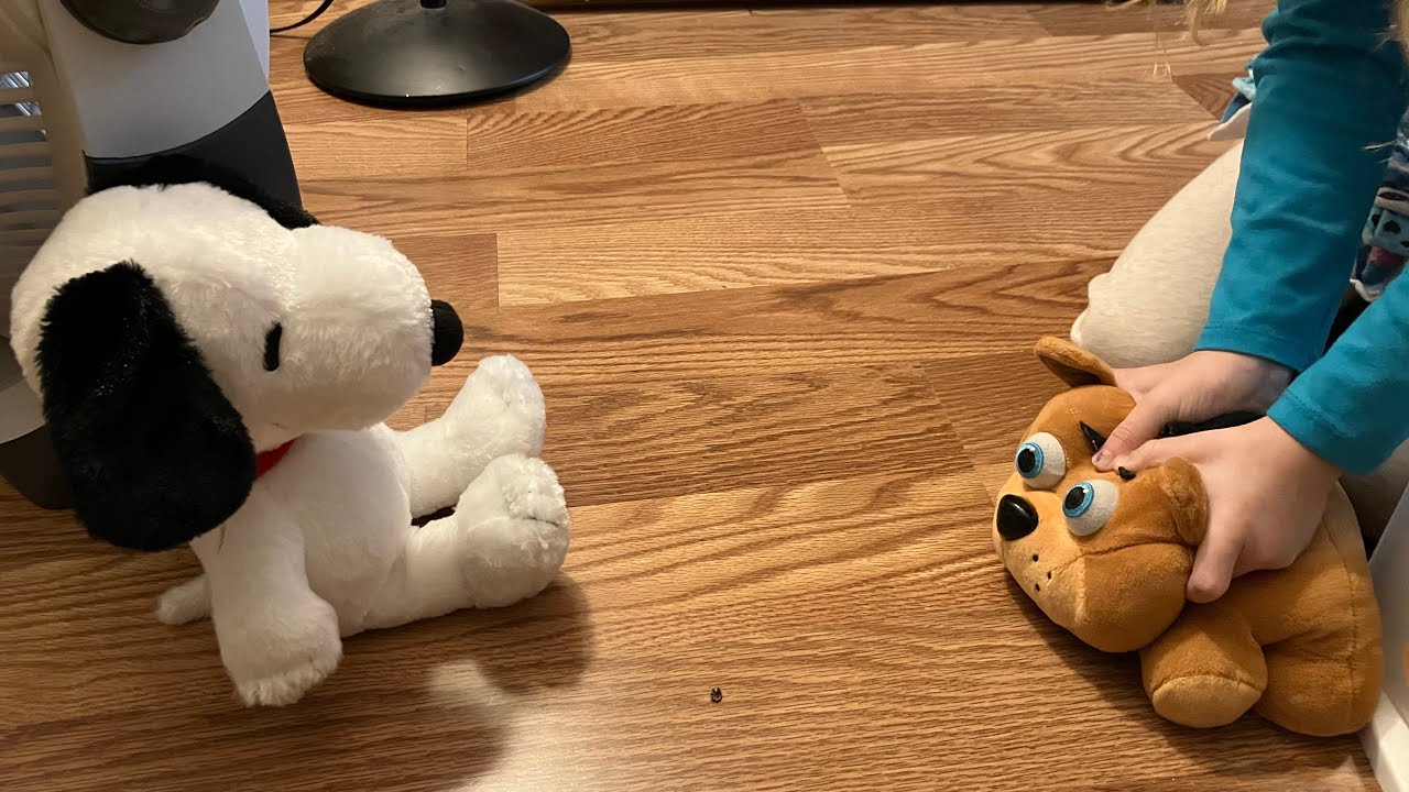 BFPI Episode 1b: Teams - YouTube