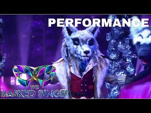 Wolf sings \