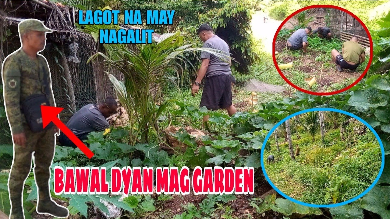 Naku Sinita sila | Backyard Gardening | Breadwinner Tv Vlog - YouTube