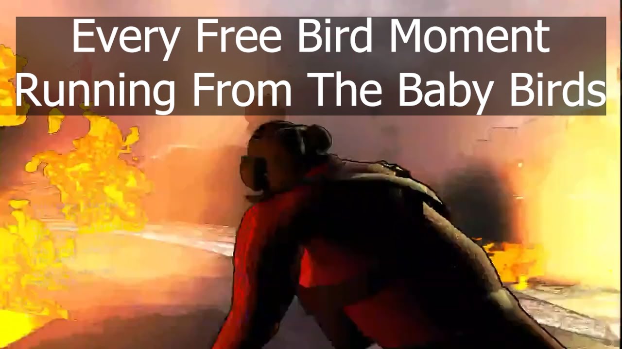 Every Free Bird Moment Running from the Baby Birds! - YouTube