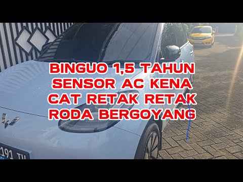 WULING BINGUO 1,5 TAHUN. SENSOR AC KENA, CAT PECAH PECAH RODA BERMASALAH