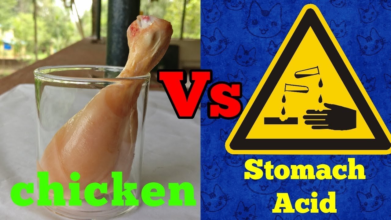 Hydrochloric acid Vs Chicken leg-Acidified series 1-Hallucinate me ...