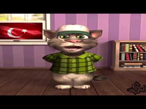 Kedi bayram haberini verdi