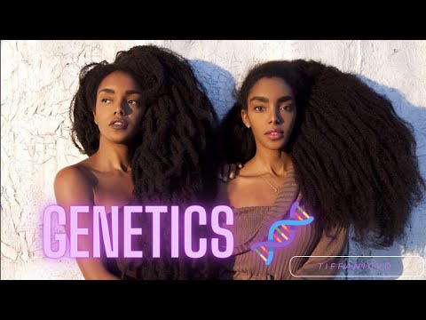 Is Hair Length Determined By Genetics