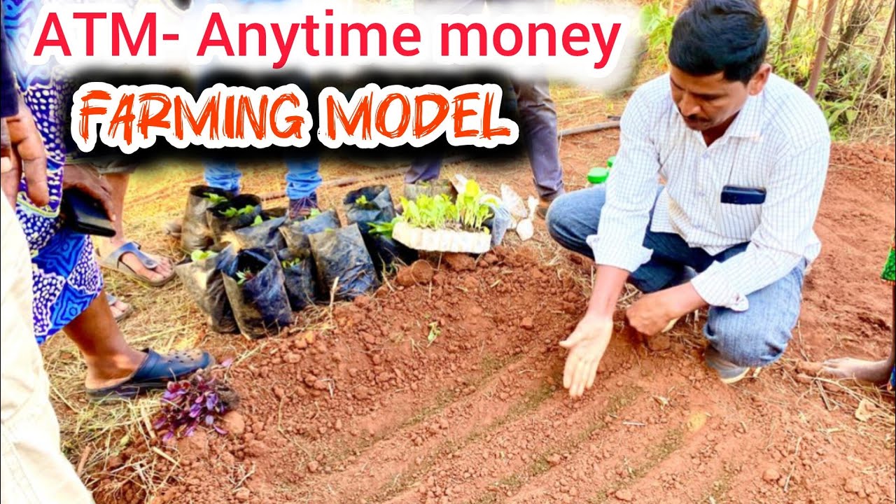 ATM Farming model - Anytime money farming principles introduced in ...