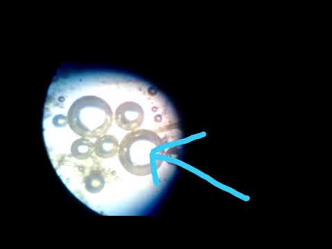 Water Molecule Microscope