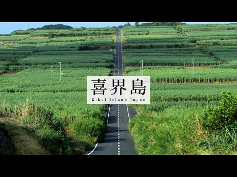 喜界島 Kikai Island, Japan in 8K