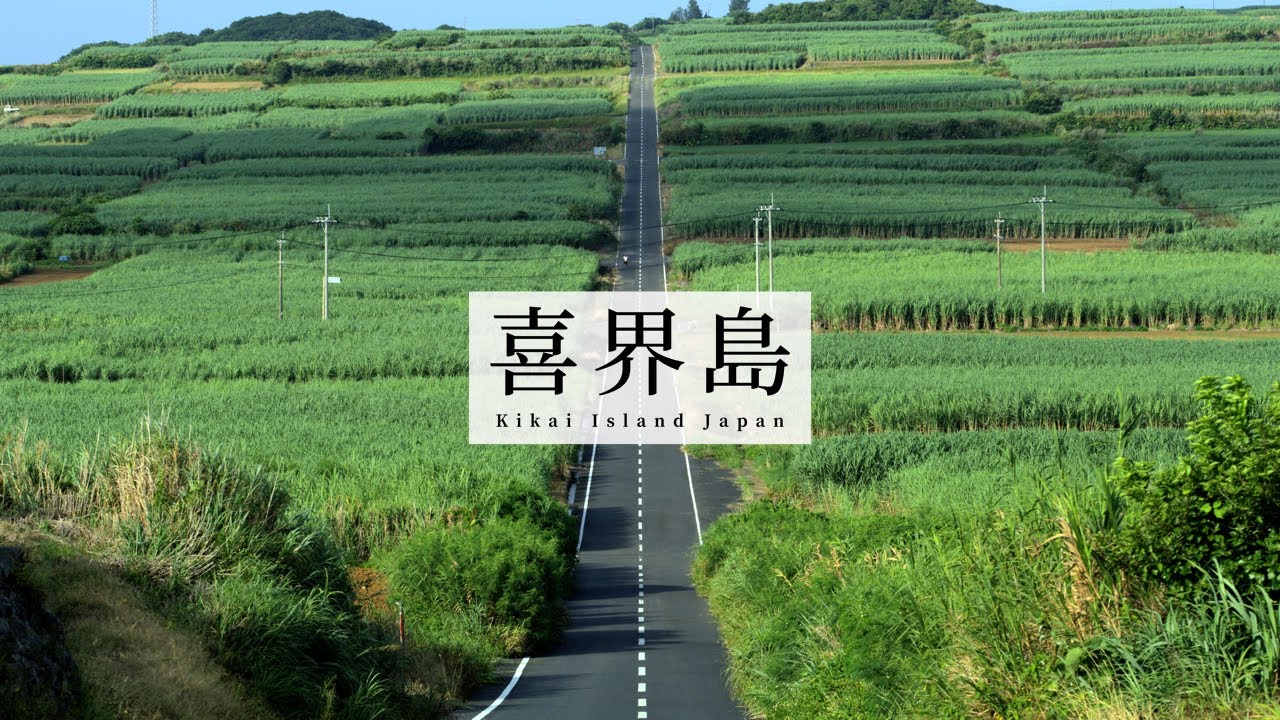 喜界島 Kikai Island, Japan in 8K - YouTube
