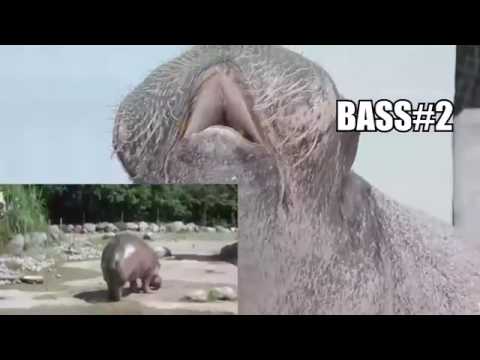 WebM. 360p