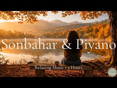 🍂 Sonbahar & Piyano • Rahatlatıcı Müzik 3 Saat | Dingin