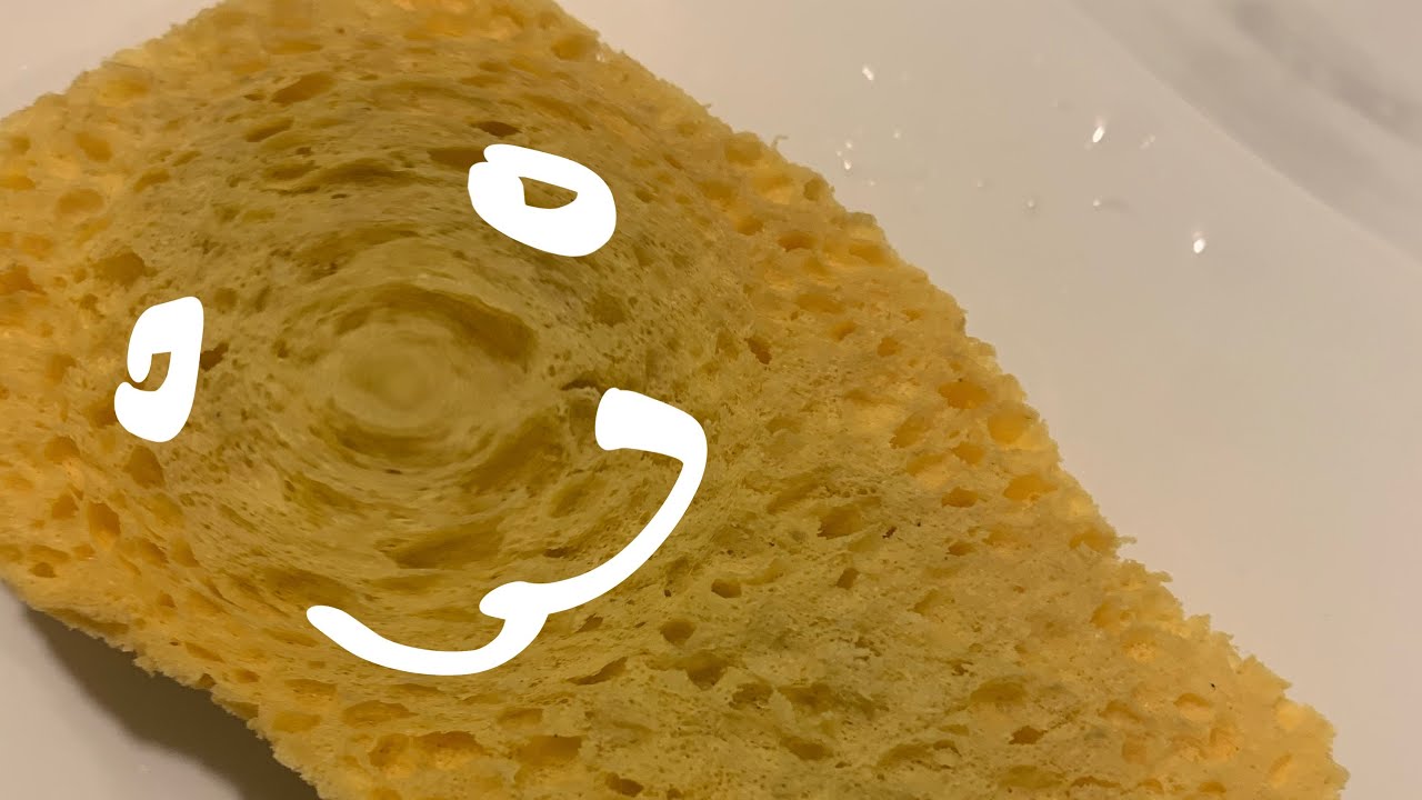 [Tuto] Comment utiliser une éponge - YouTube