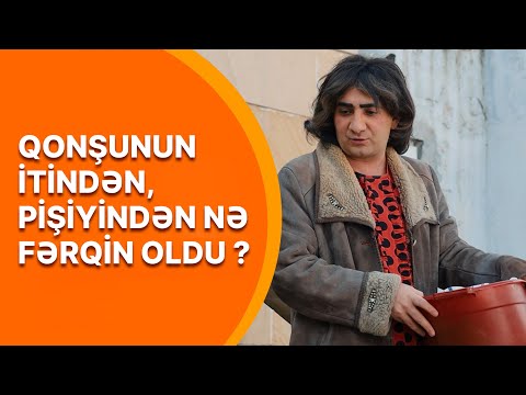 Buğlama TV - Qonşunun itindən, pişiyindən nə fərqin oldu ?