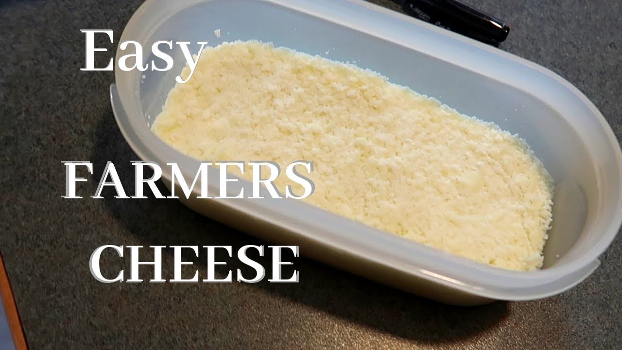 How to make a simple farmers cheese with goats milk! - YouTube