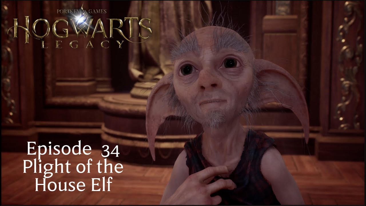 Hogwarts Legacy Episode 34 Plight of the House Elf PS5 - YouTube