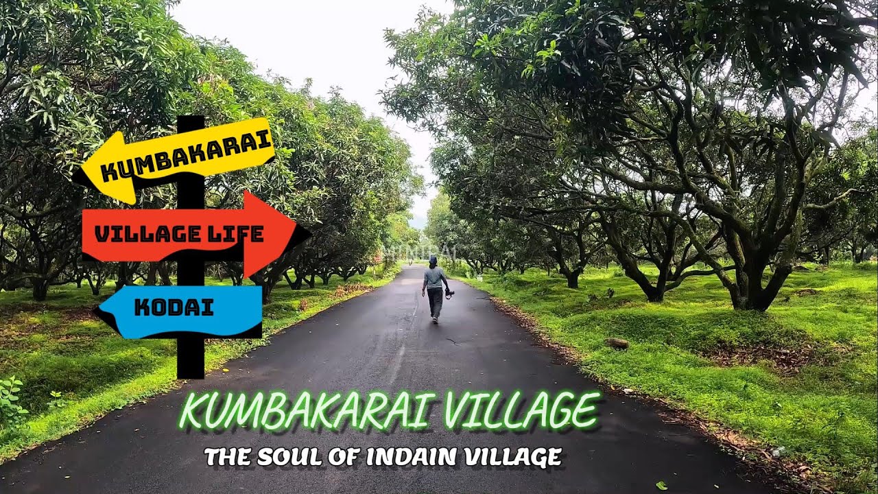 Beautiful farmland in Tamilnadu |🏞️👆🏻🏞️, Village life | cumbum theni ...