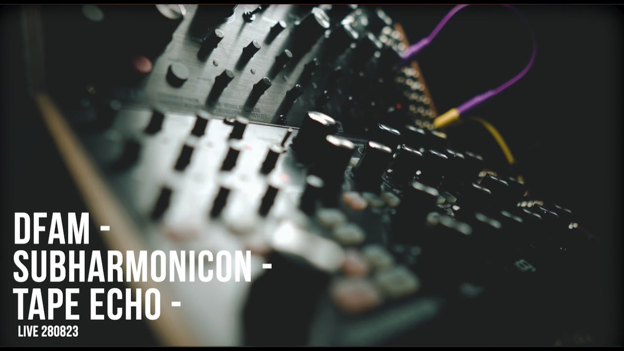 Moog DFAM & Subharmonicon live - YouTube