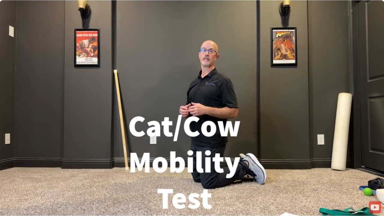 Cat-Cow Mobility Test | Assess Your Spine Flexibility & Movement - YouTube