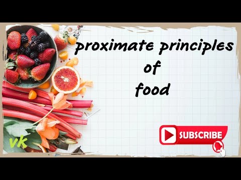 proximate principles of food #food #health #nursing - YouTube