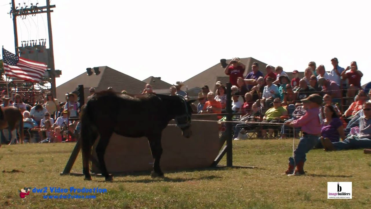 24th Annual Pea Ridge Mule Jump - YouTube