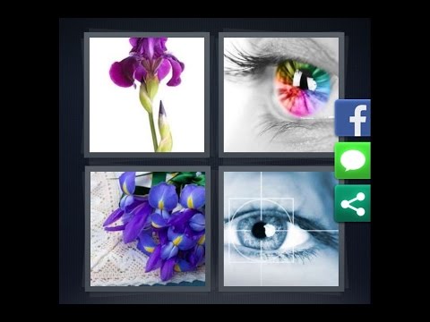 4 Images 1 Mot Niveau 225