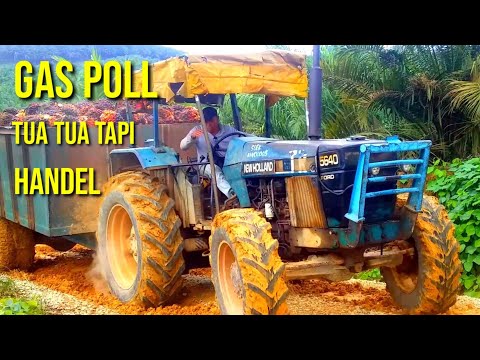 Forson traktor sawit handel.//bang dani