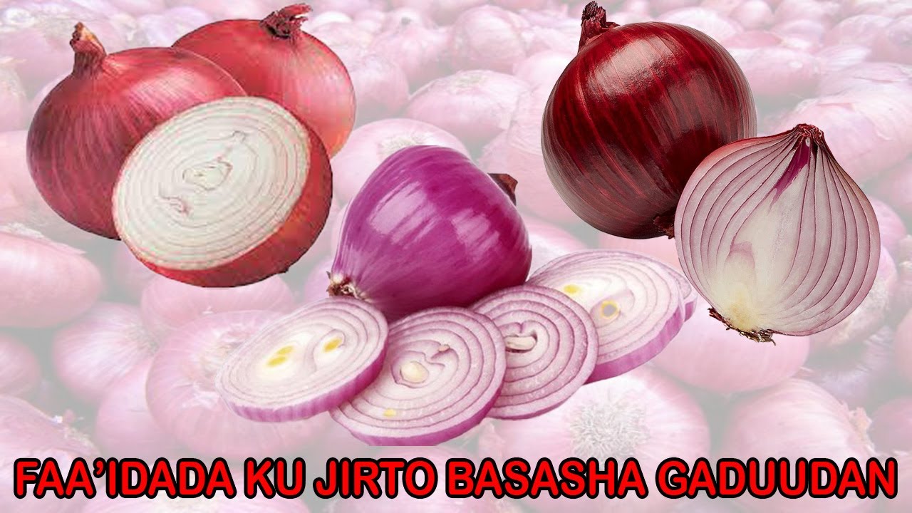 Faa'idooyin Aadan Ogeyn oo laga Helo Basasha Nooca Gaduudan Ama Basal ...