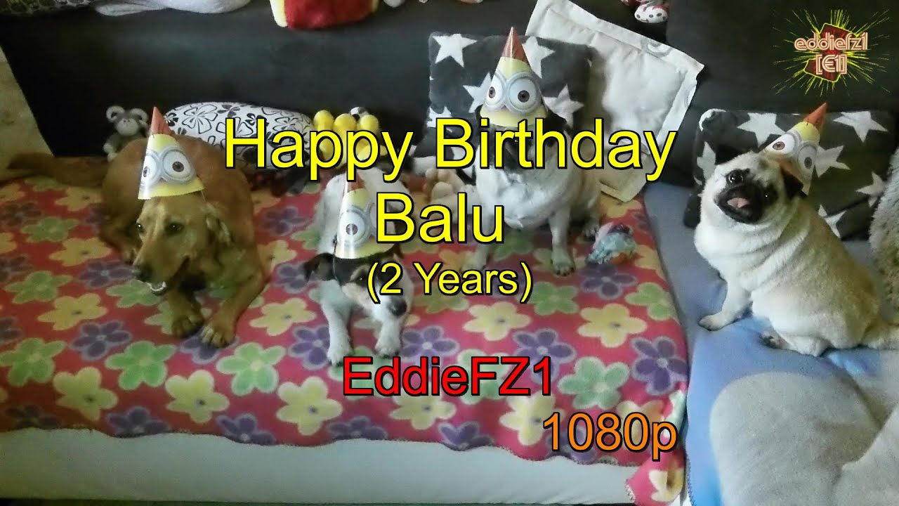 Happy Birthday Balu (2 Jahre) - YouTube