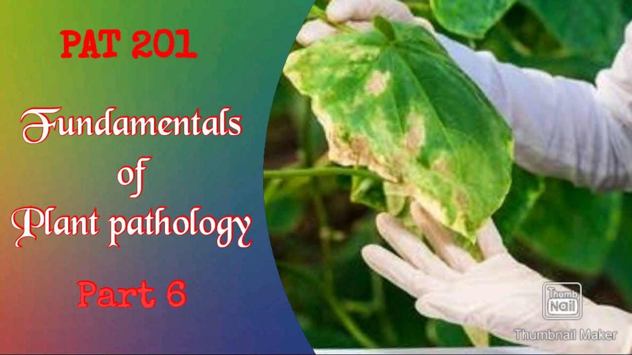 PAT 201 Crash course Part 6 - Fundamentals of Plant pathology - YouTube