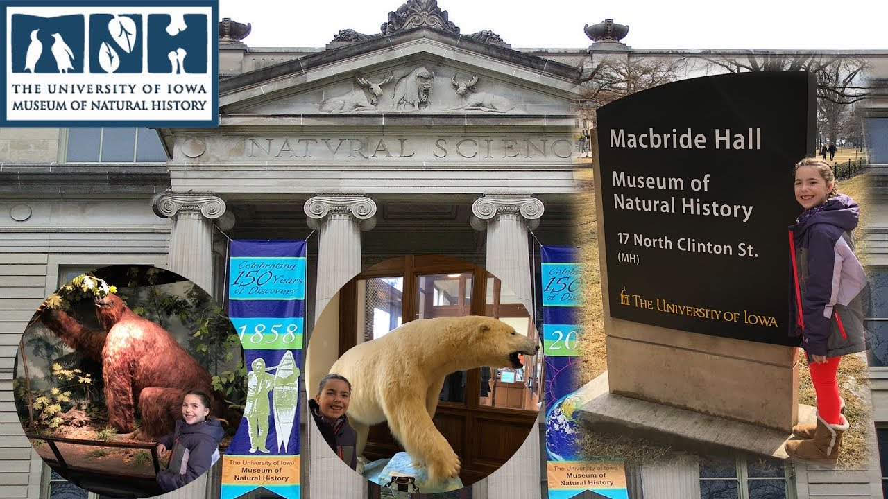 Visit The Museum of Natural History - YouTube