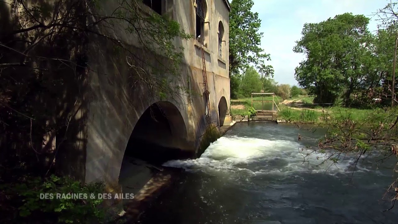 La Rizière de Marseillette dans des "Des Racines & Des Ailes - Le Canal ...