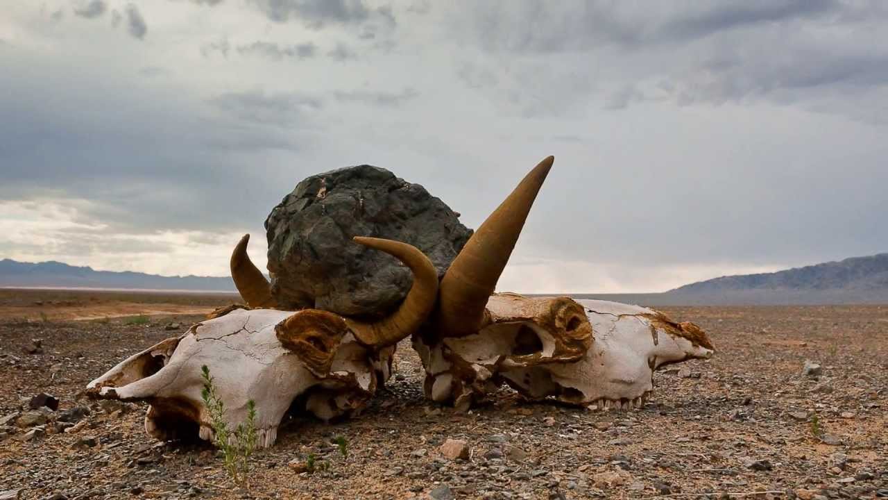 Bajkał i Gobi - podróż w odcieniach błękitu i czerwieni - YouTube