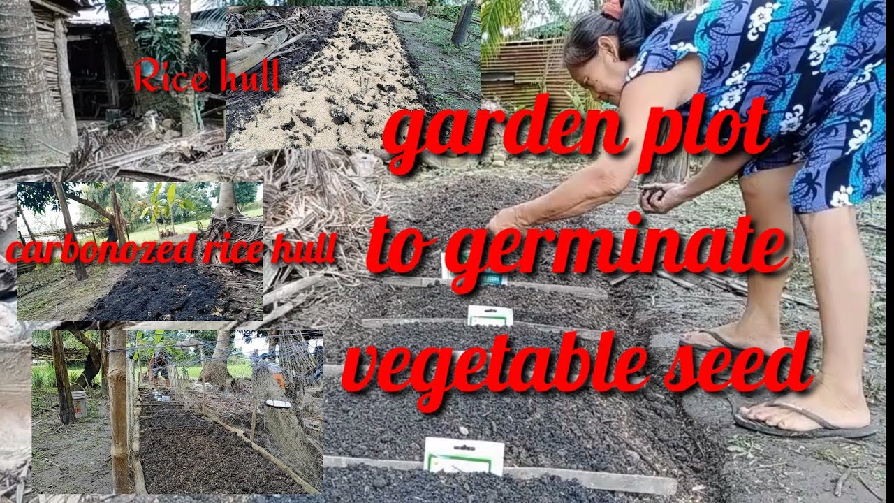 making garden plot to germinate vegetable seeds|life of a single mom ...