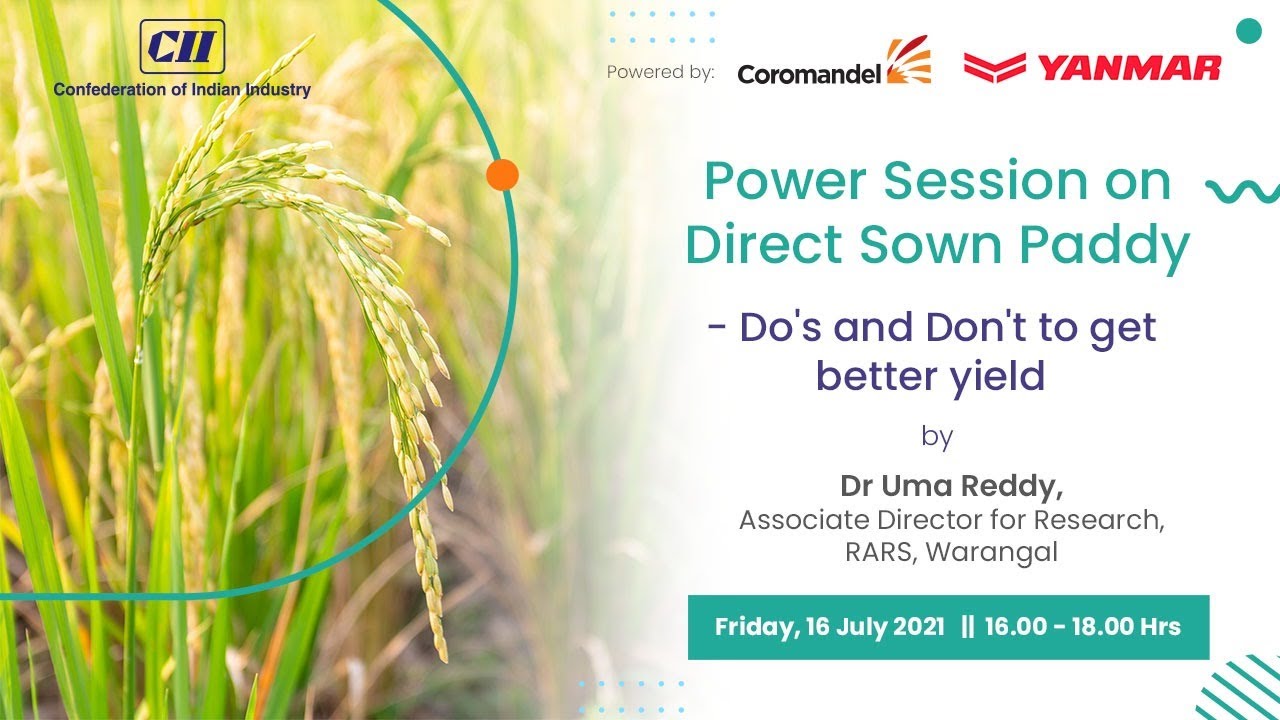 CII Power Session on Direct Sown Paddy - YouTube
