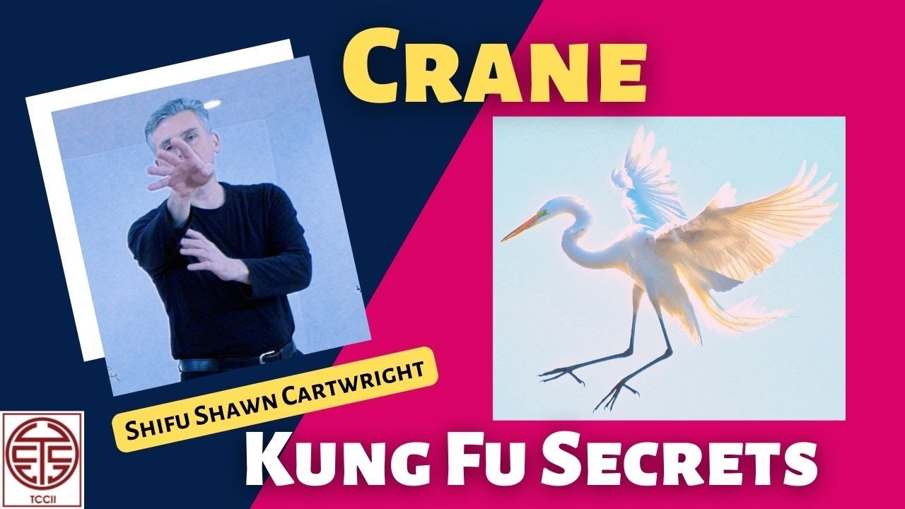Crane Kung Fu Style Animal Techniques & Applications - Kung Fu Secrets ...