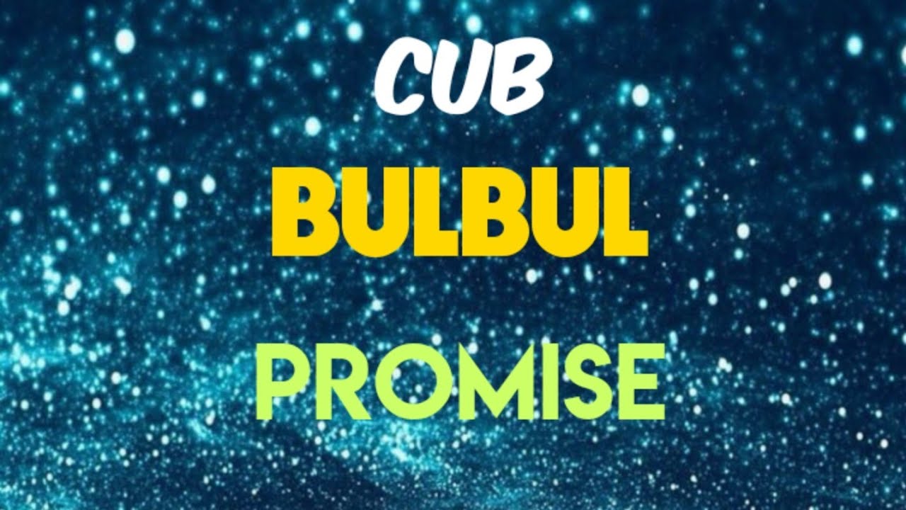 Promise/Cub/Bulbul/Scout masters corner/Joseph Puthussery - YouTube
