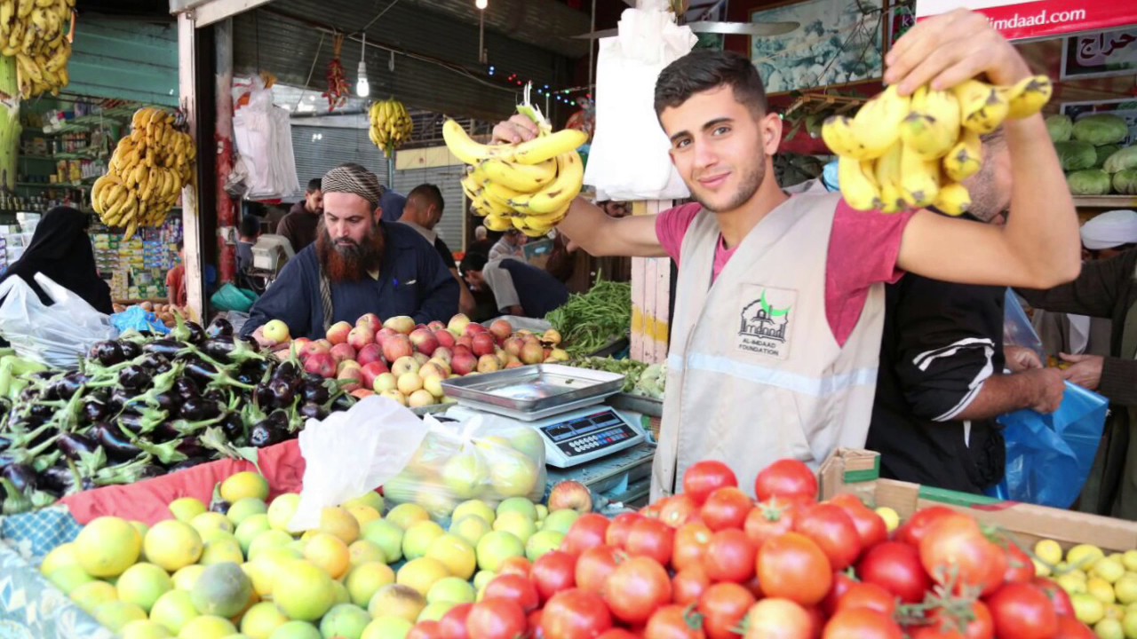 Gaza Vegetable Project - Nov 2016 - YouTube