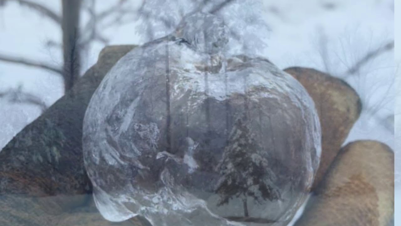 Icy rain creates 'ghost apples' in Kent County - YouTube